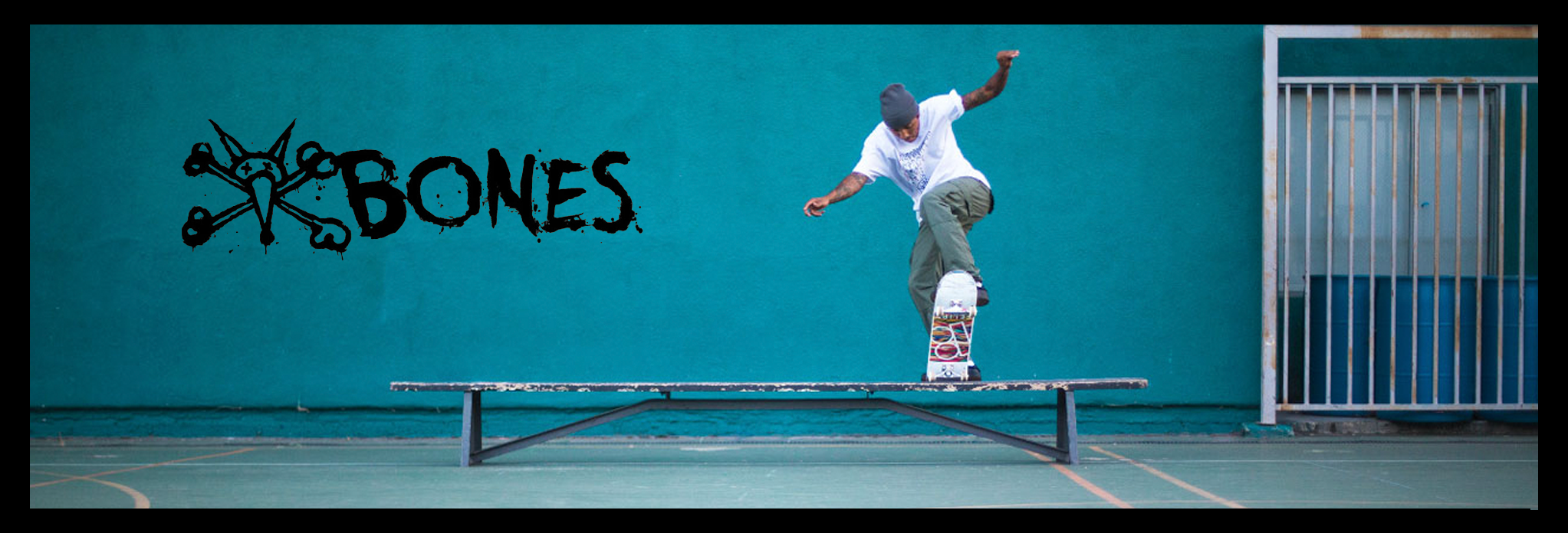 Ottawa's Original Skateboard & Snowboard shop – Top of the World